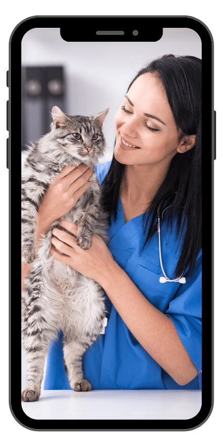 Veterinarian – Easy Mobile Templates